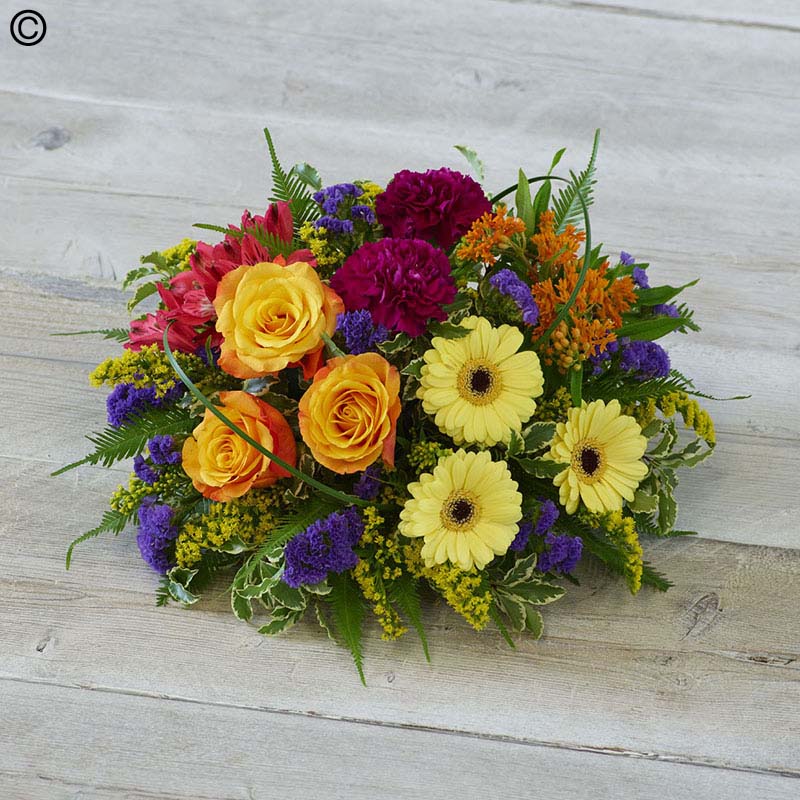 Bold Bright’s Posy Standard – Sweeneys Florist