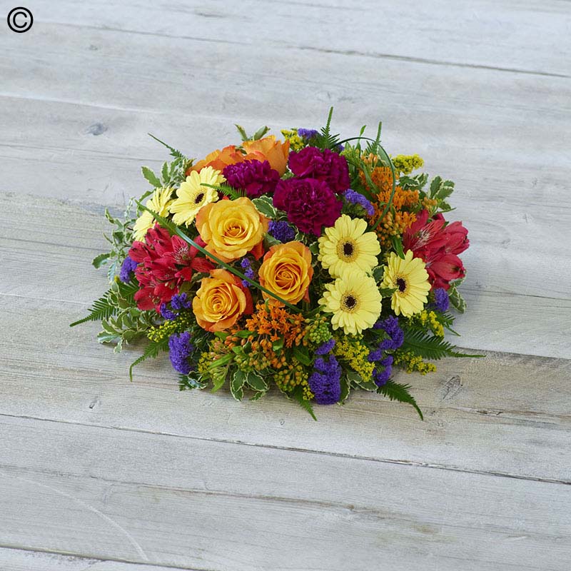 Bold Bright’s Posy Extra Large – Sweeneys Florist